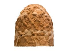 Delphi - Entrance Fee