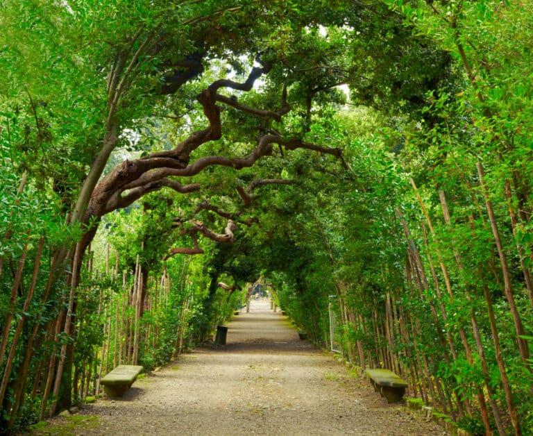 Boboli Gardens - Entrance Fee