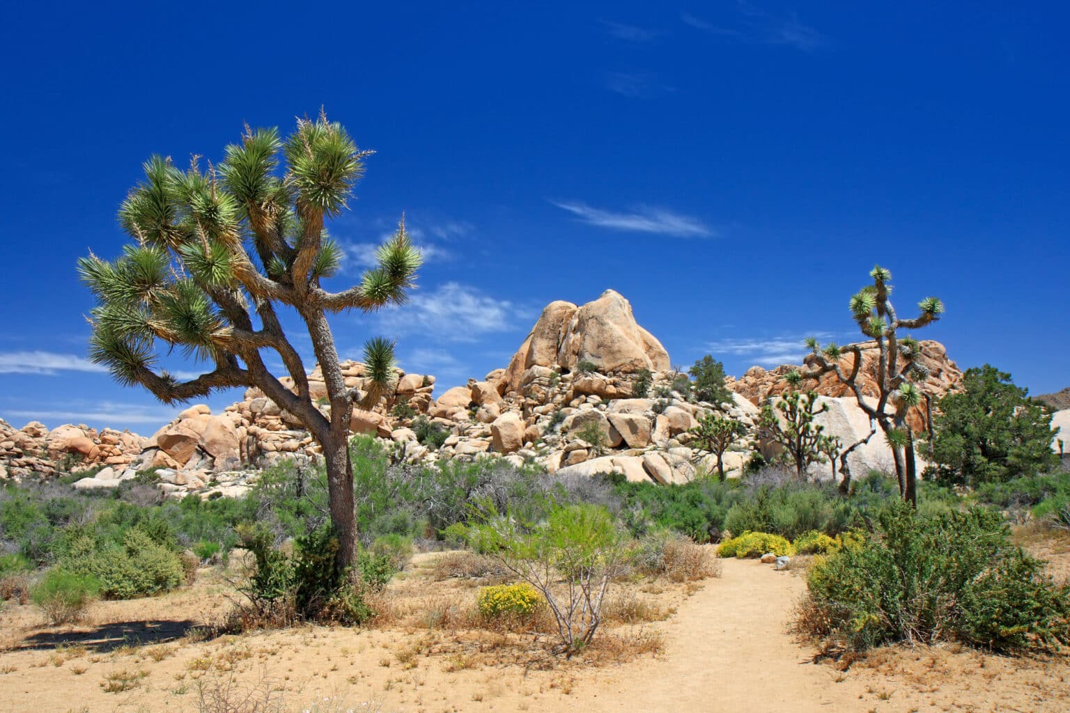 Joshua Tree National Park - Entrance Fee